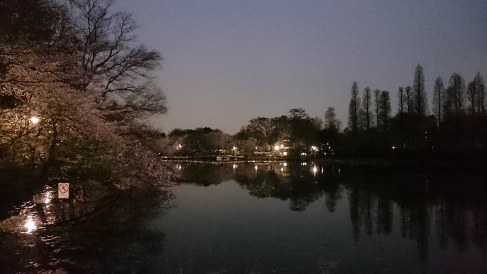 THE JEALOUS FOX / Daigo Sugiyama – Angles