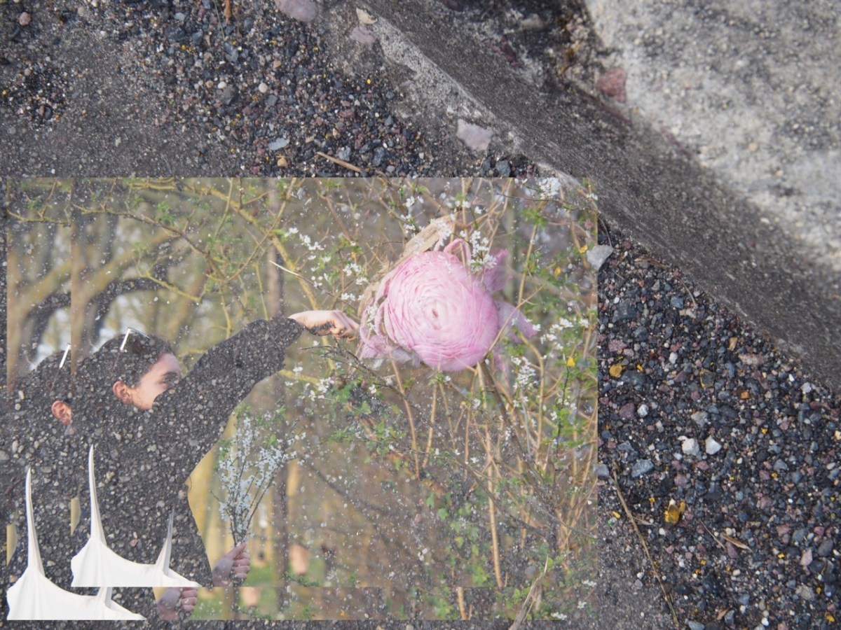 MORE HASTE, LESS SPEED / Ellessa Yamada – Angles